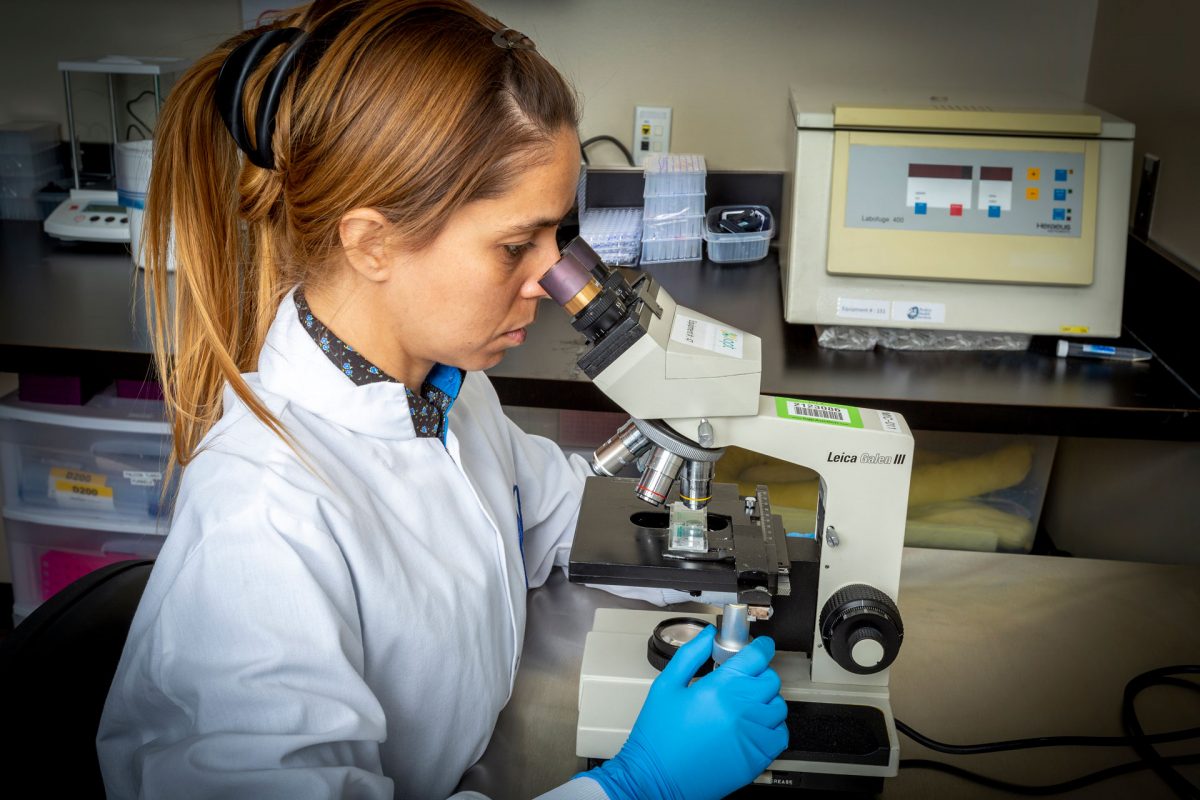 Services – Poultry Health Services