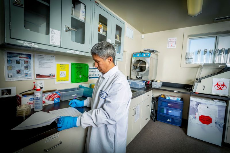 Services – Poultry Health Services