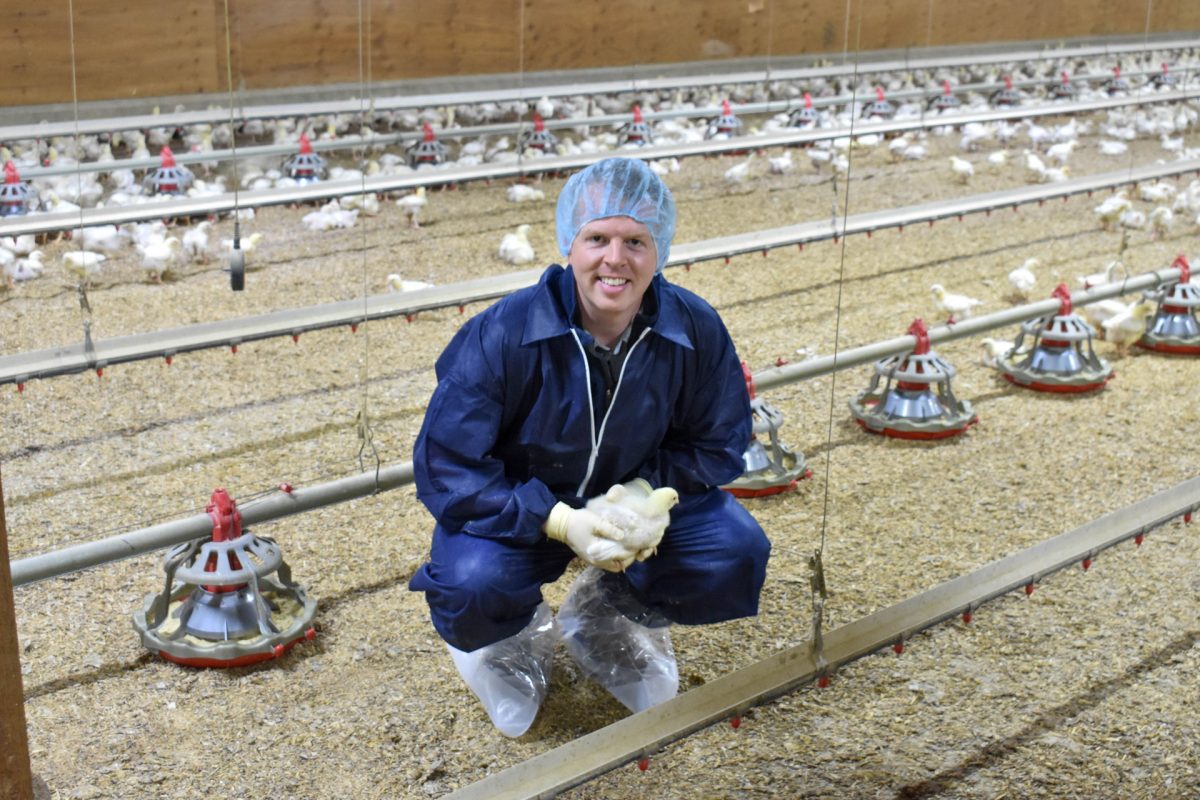 Services – Poultry Health Services